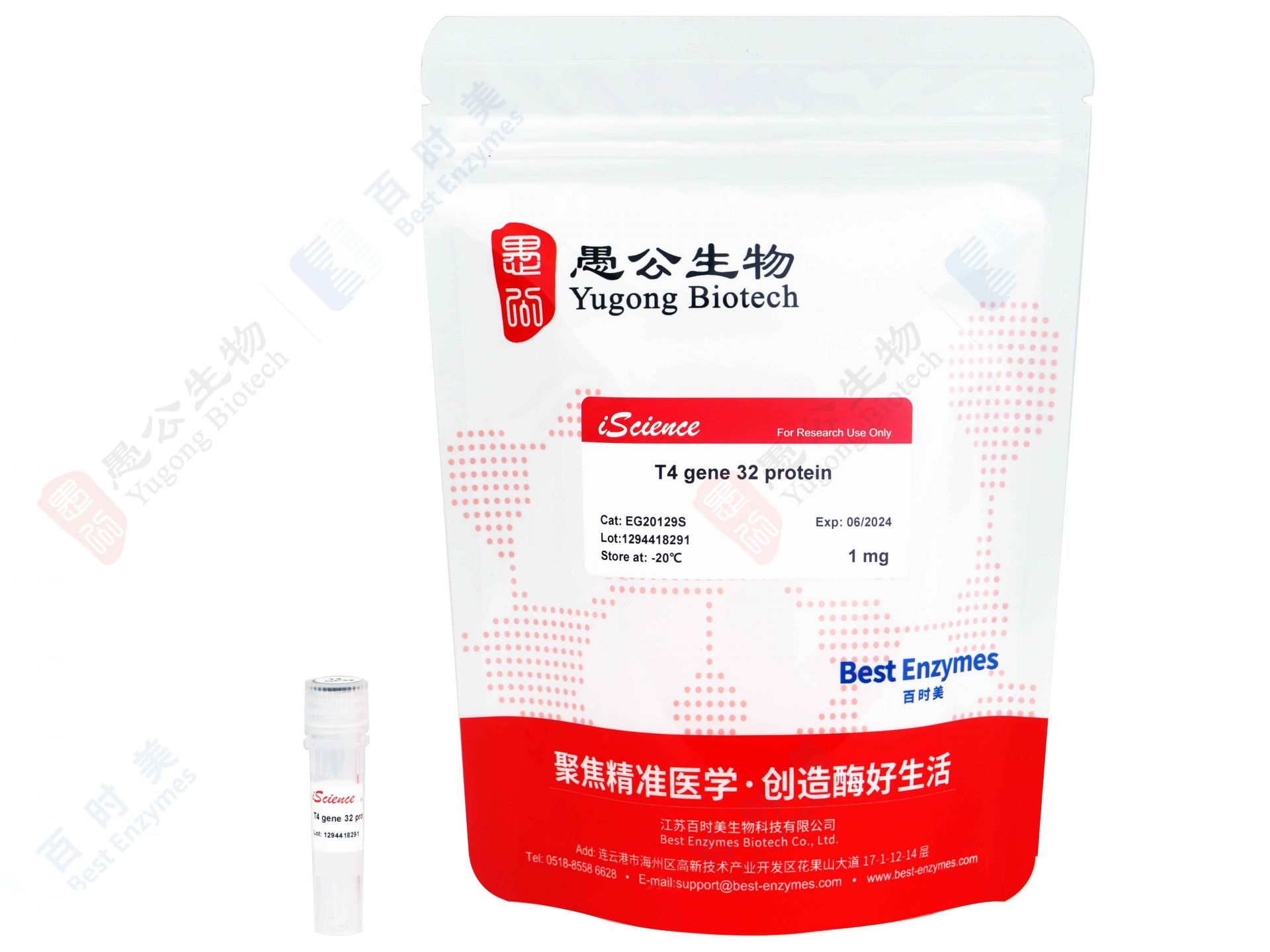 T4 gene 32 proteinT4噬菌体gp32蛋白